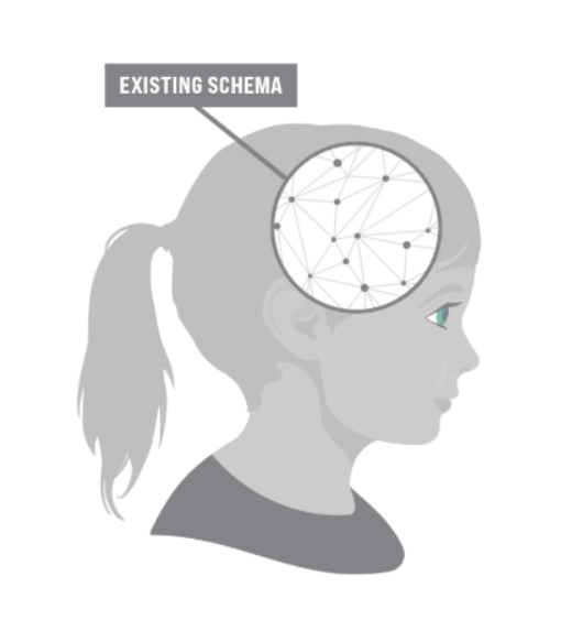 Understanding the Structure of InsightMath – InsightMath